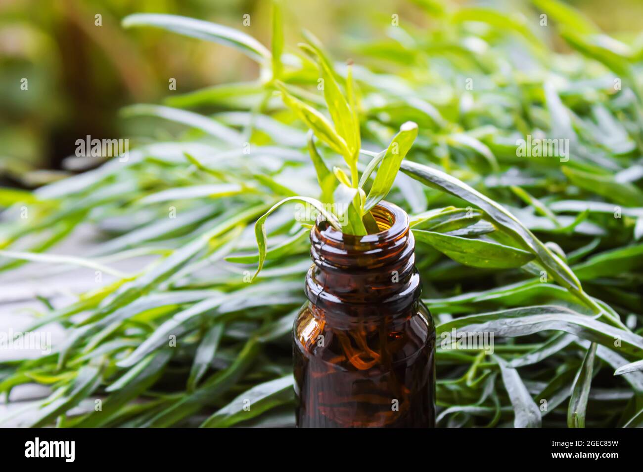 Essential oil of tarragon in a bottle. Selective focus. nature Stock ...