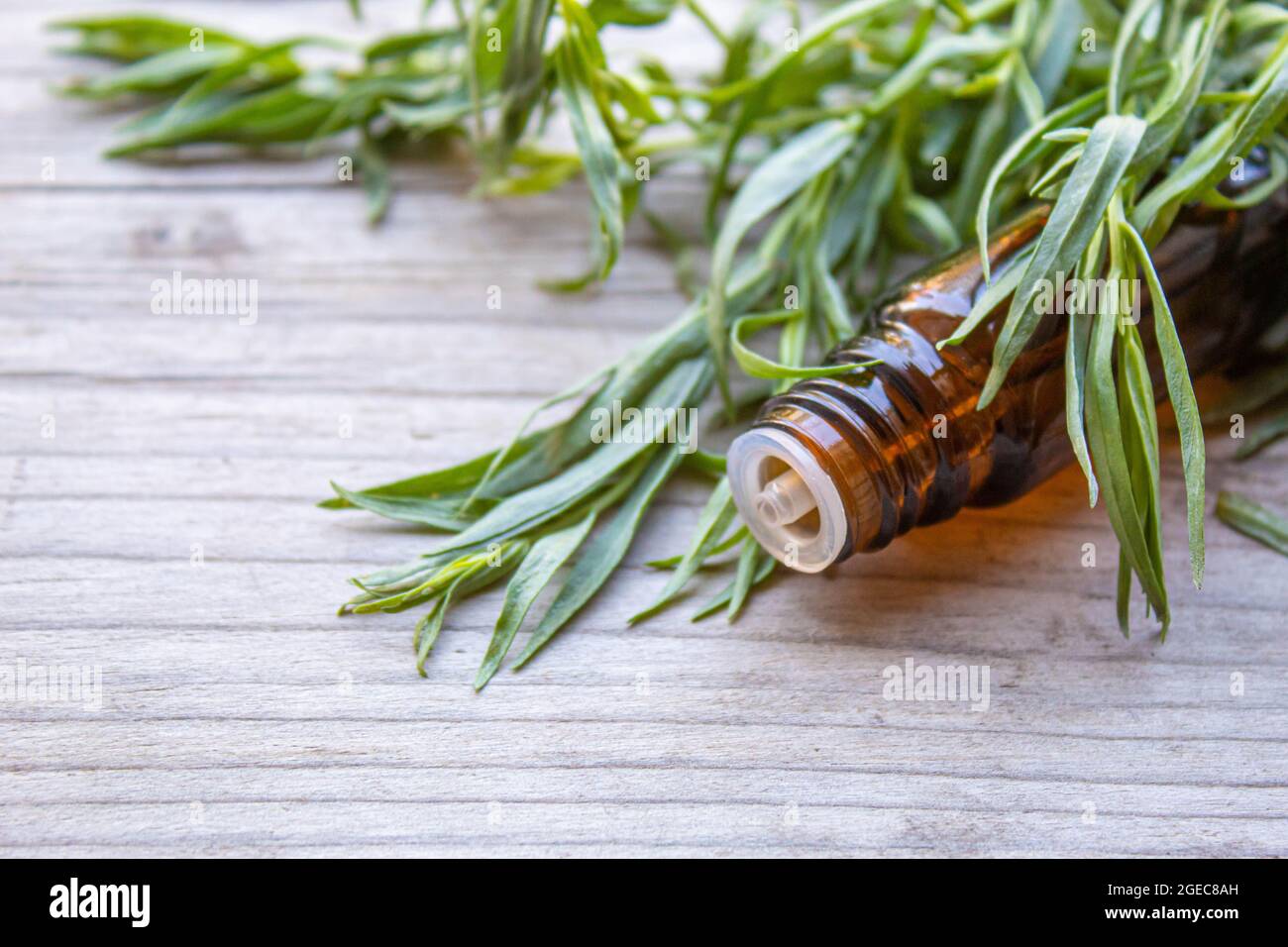 Essential oil of tarragon in a bottle. Selective focus. nature Stock ...