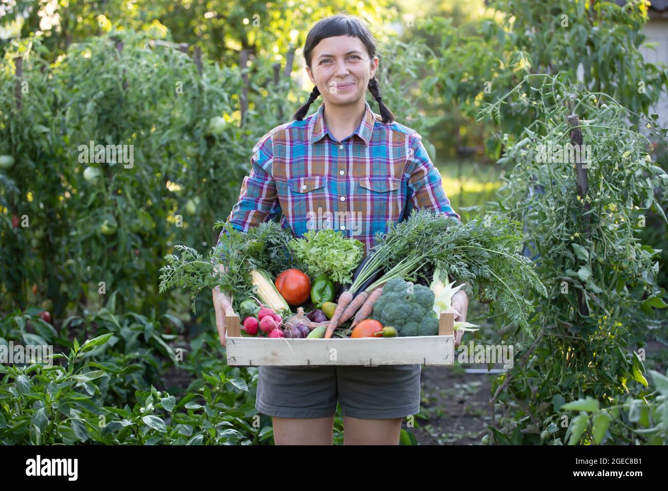 Farmer woman holding wooden box full of fresh raw vegetables. Growing ...