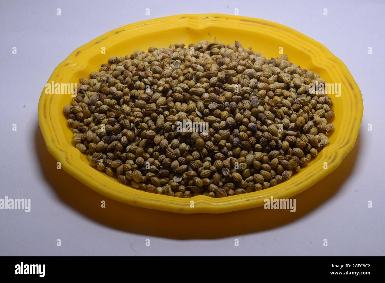 Coriander grains hi-res stock photography and images - Alamy