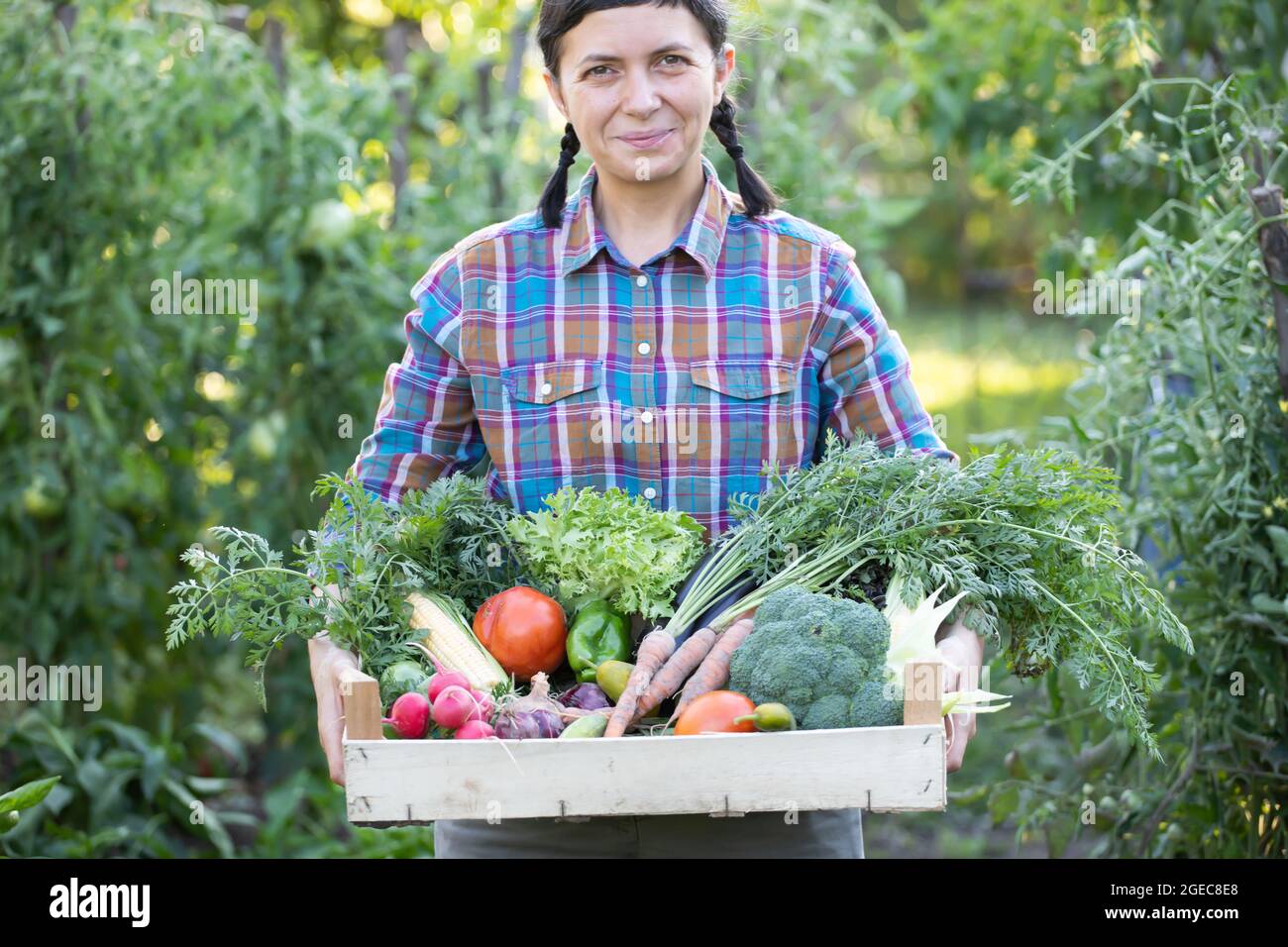 Farmer woman holding wooden box full of fresh raw vegetables. Growing ...