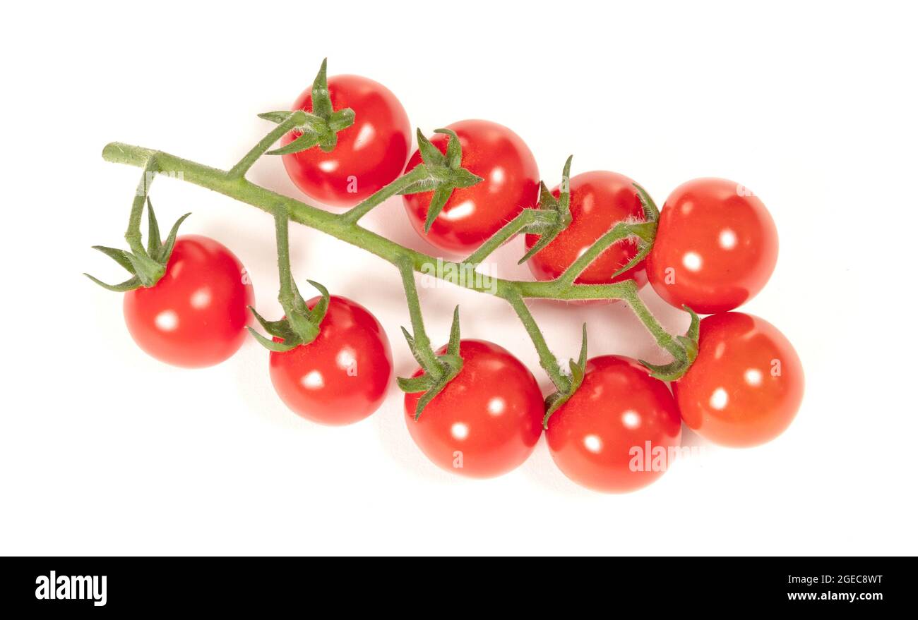 Twig of fresh cherry tomato, isolated on white background Stock Photo ...