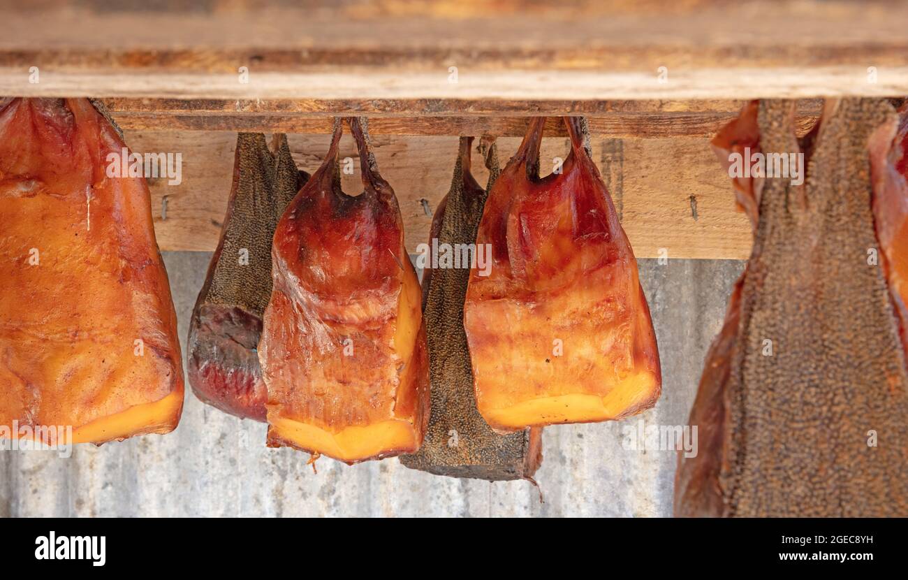 Specialty of iceland called hakarl (fermented shark) in open warehouse ...