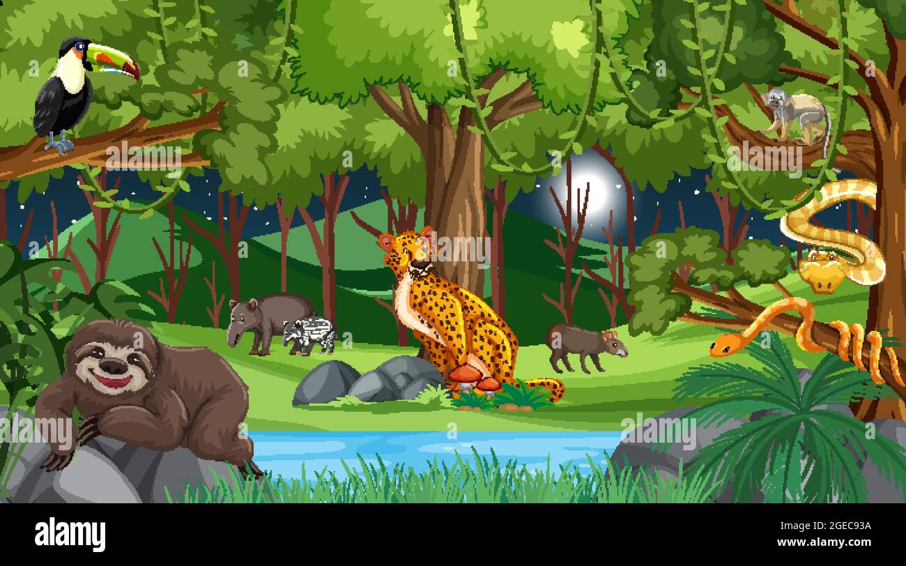 Forest at night scene with different wild animals illustration Stock ...