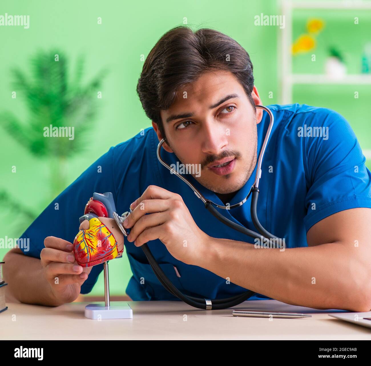 The doctor student explaining heart problems Stock Photo - Alamy
