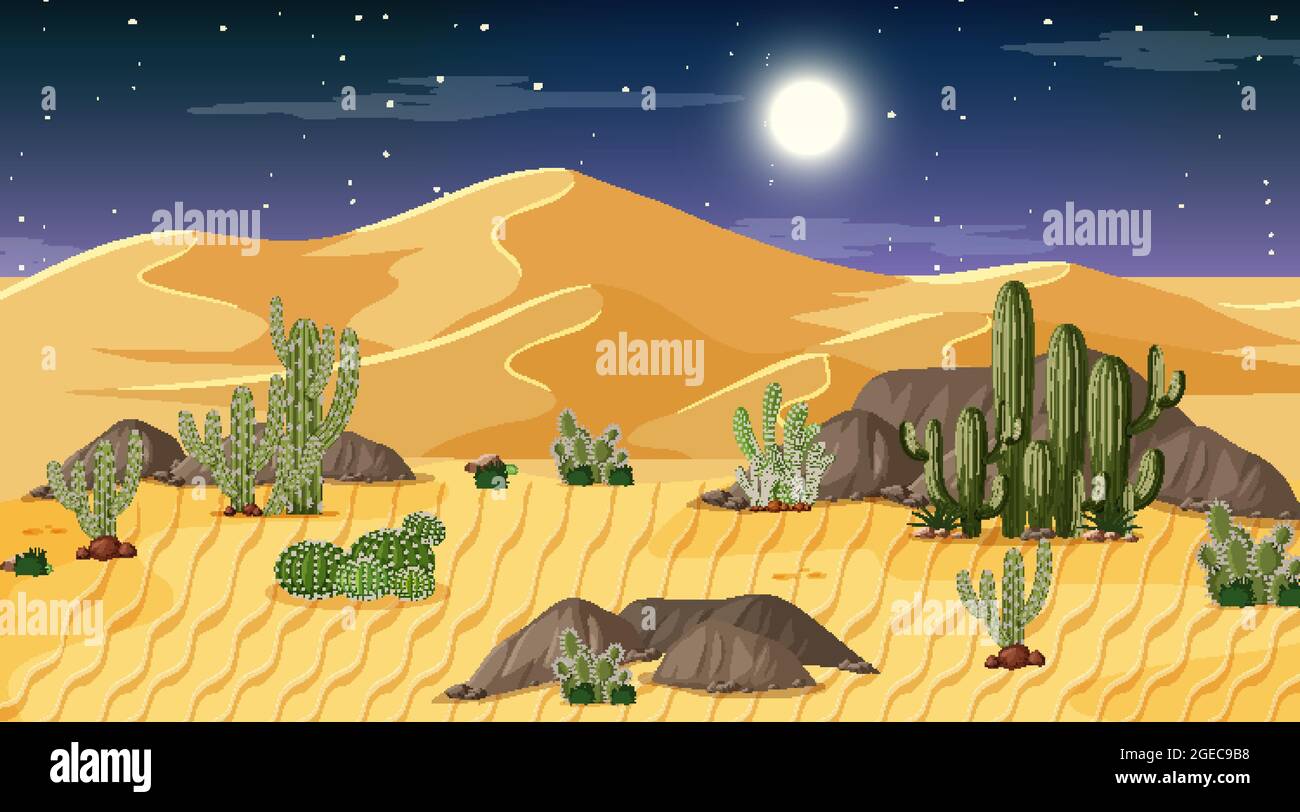 Desert forest landscape at night scene illustration Stock Vector Image & Art - Alamy