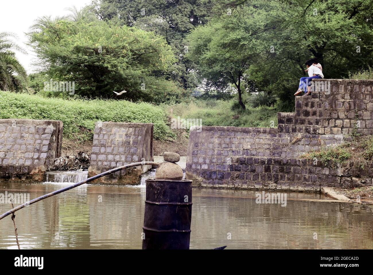 Mahua, bassia latifolia liquor is being made, the river Water flowing ...