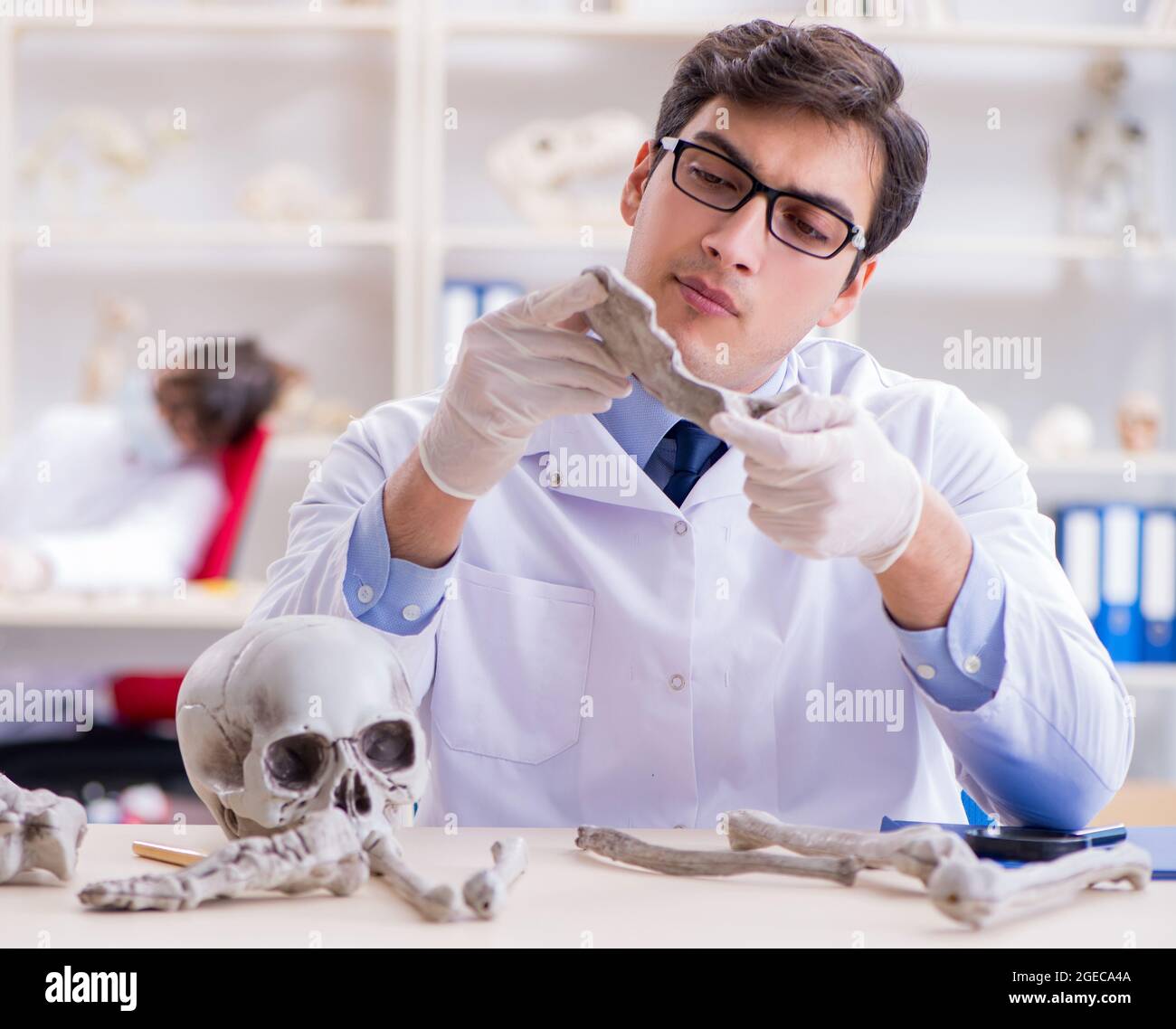 The professor studying human skeleton in lab Stock Photo - Alamy