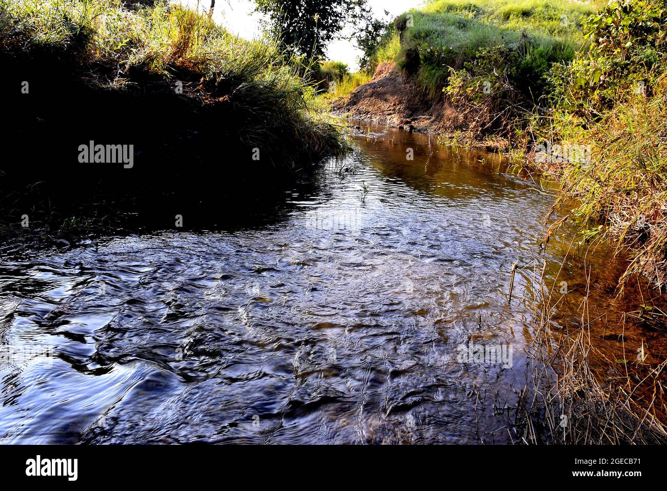 water flowing in the river after the rain and the rays of the sun ...