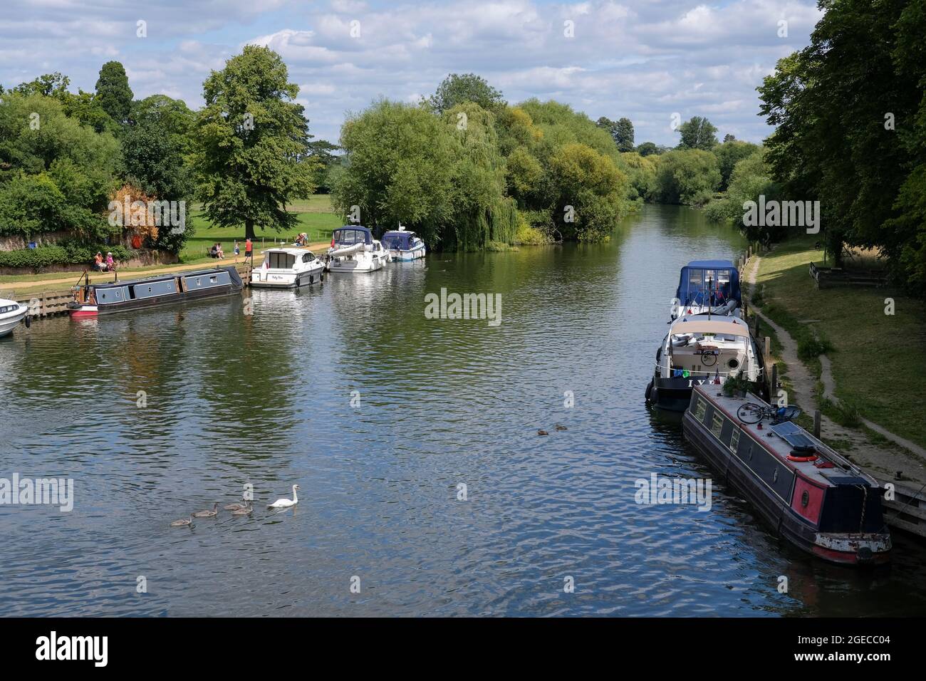 Pleasure boats moored on the River Thames at Wallingford, UK. Looking ...