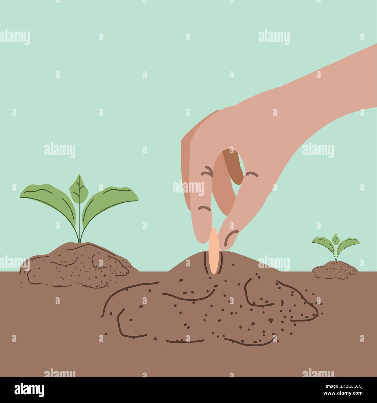 hand planting seed Stock Vector Image & Art - Alamy