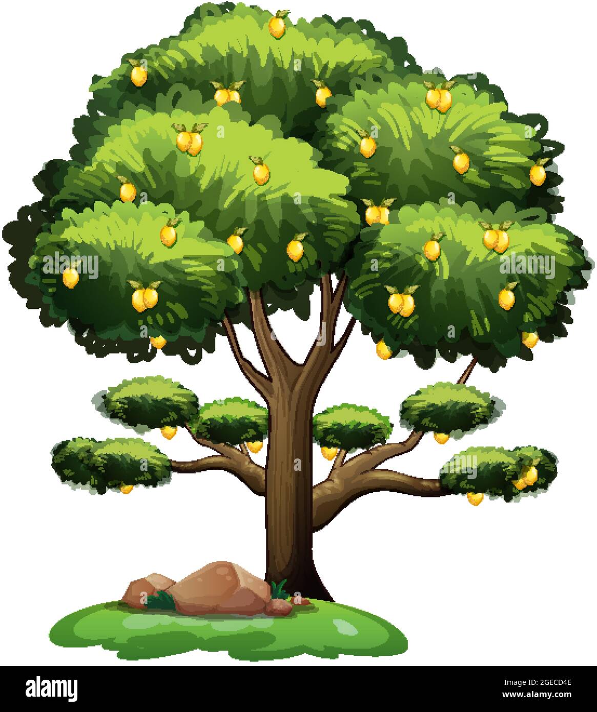Lemon tree in cartoon style isolated on white background illustration ...