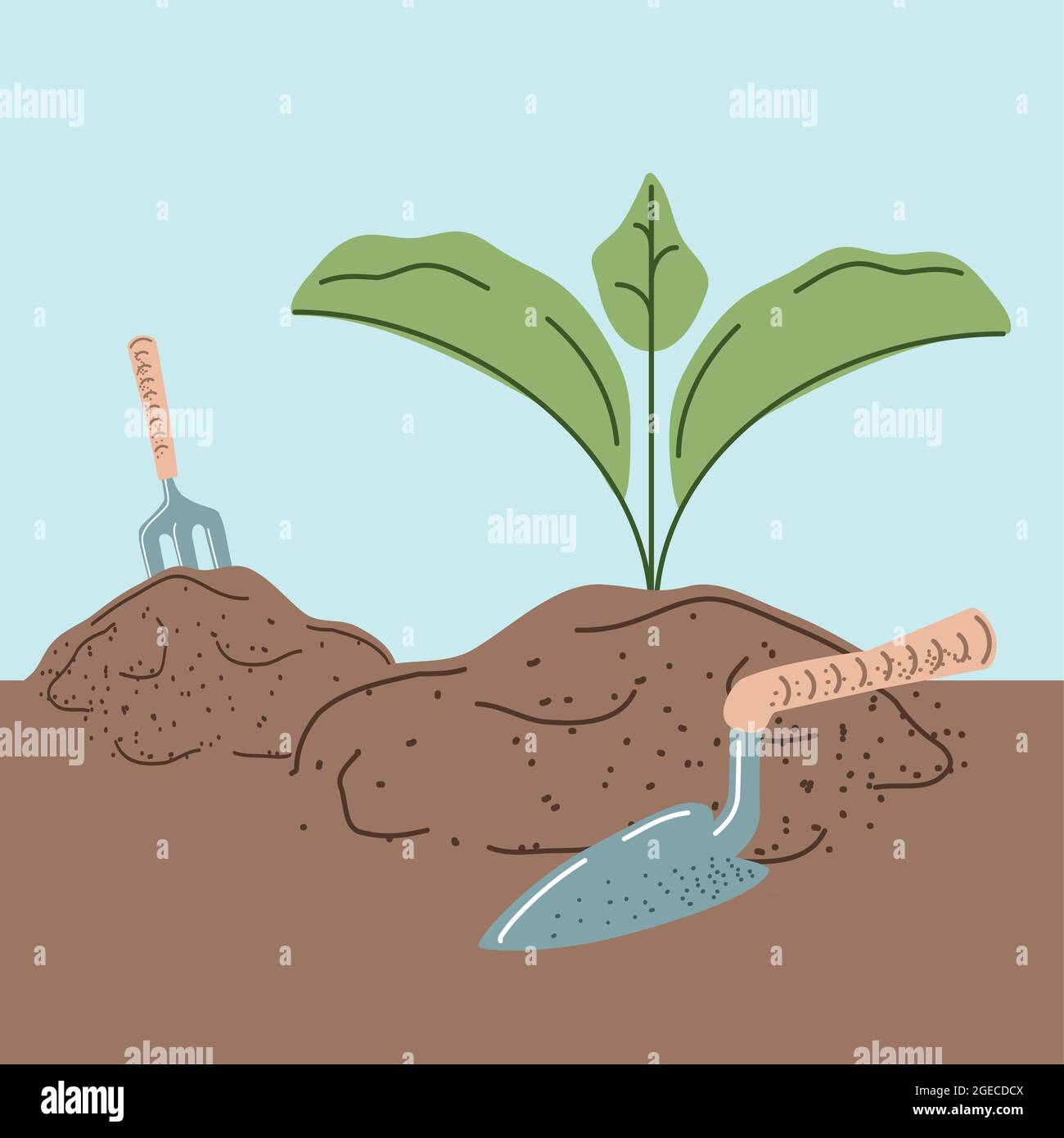 growth plantation foliage Stock Vector Image & Art - Alamy