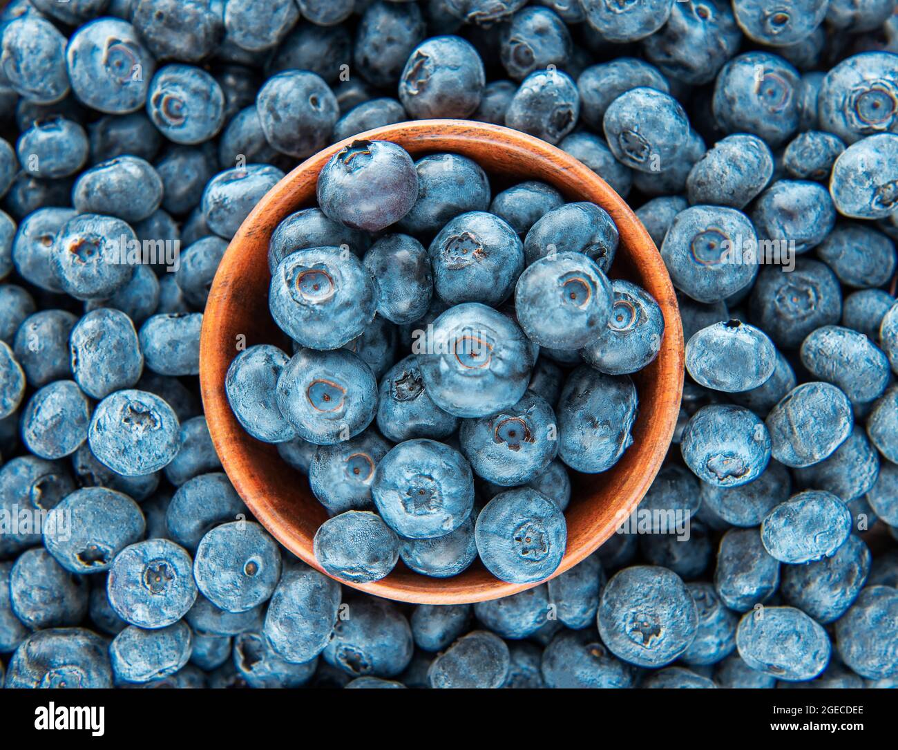Freshly picked blueberries as a natural food background. Concept for ...