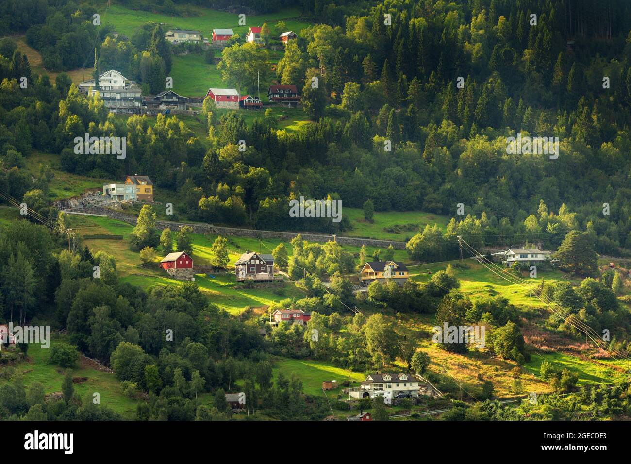 Norwegian village landscape near fjord, green forest mountains and ...