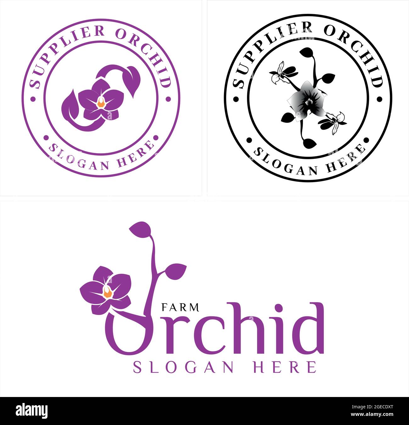 Beautiful orchid flower farm logo design Stock Vector Image & Art - Alamy