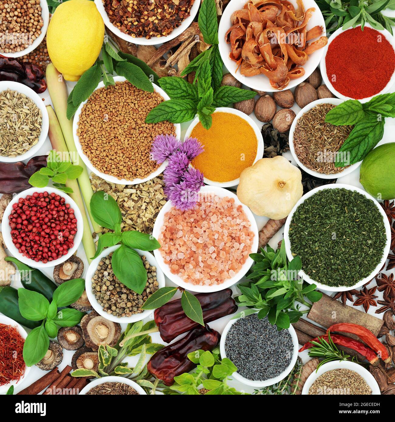 Herbs and spice background collection of fresh and dried seasoning ...
