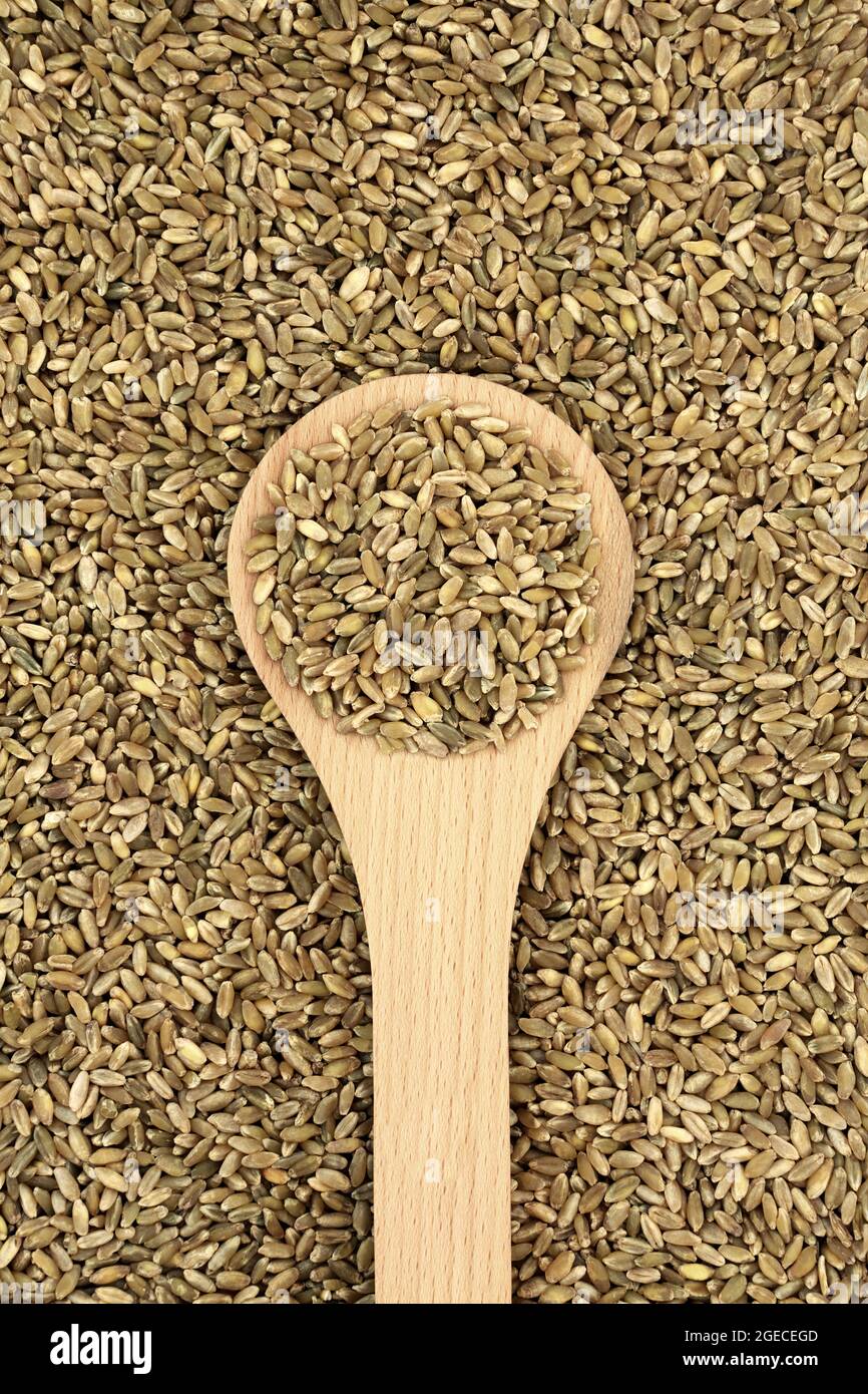 Vegan freekeh rice health food background with wooden spoon. High in ...