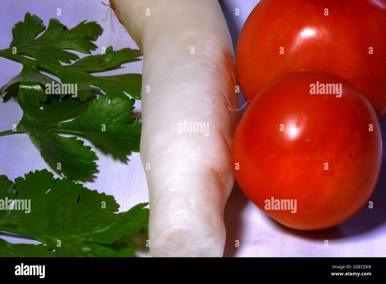 Tomato, radish and coriander leaves decorated on white paper, selective ...
