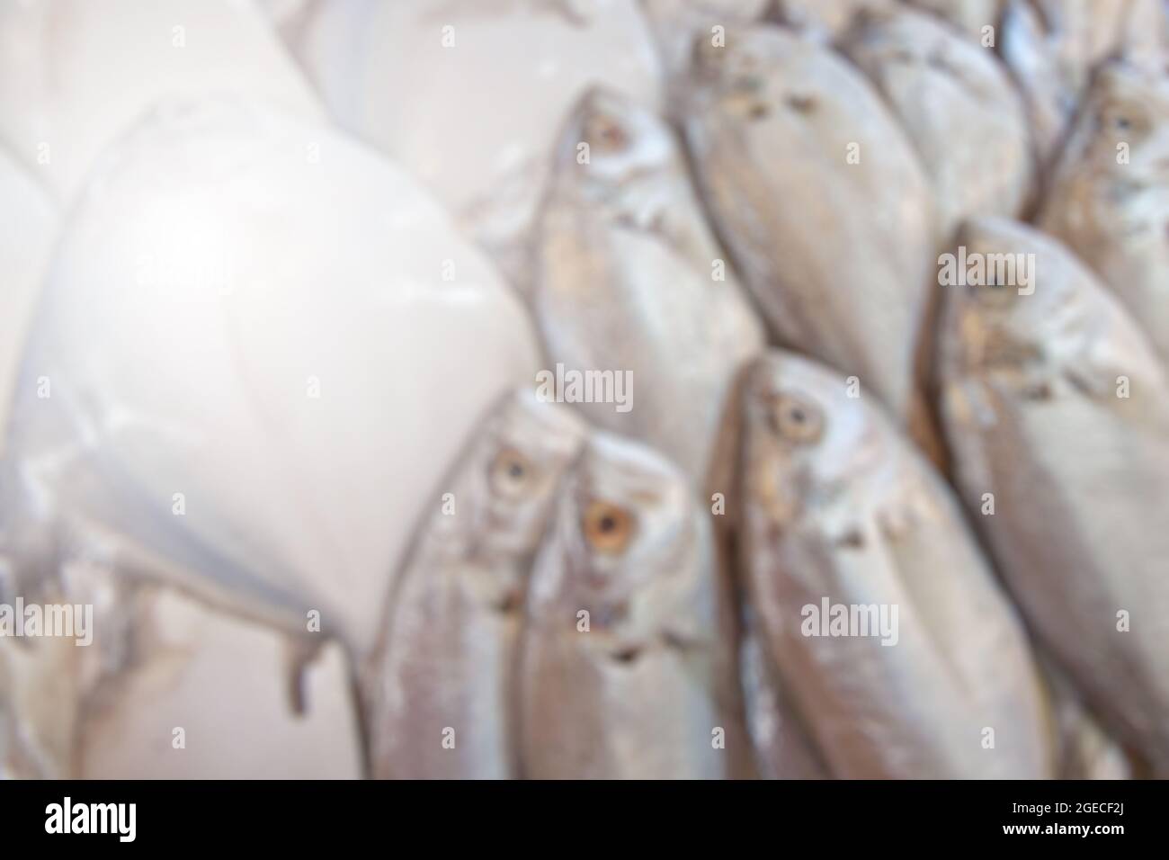 fresh of fish in the supermarket, blur backgrounds Stock Photo - Alamy
