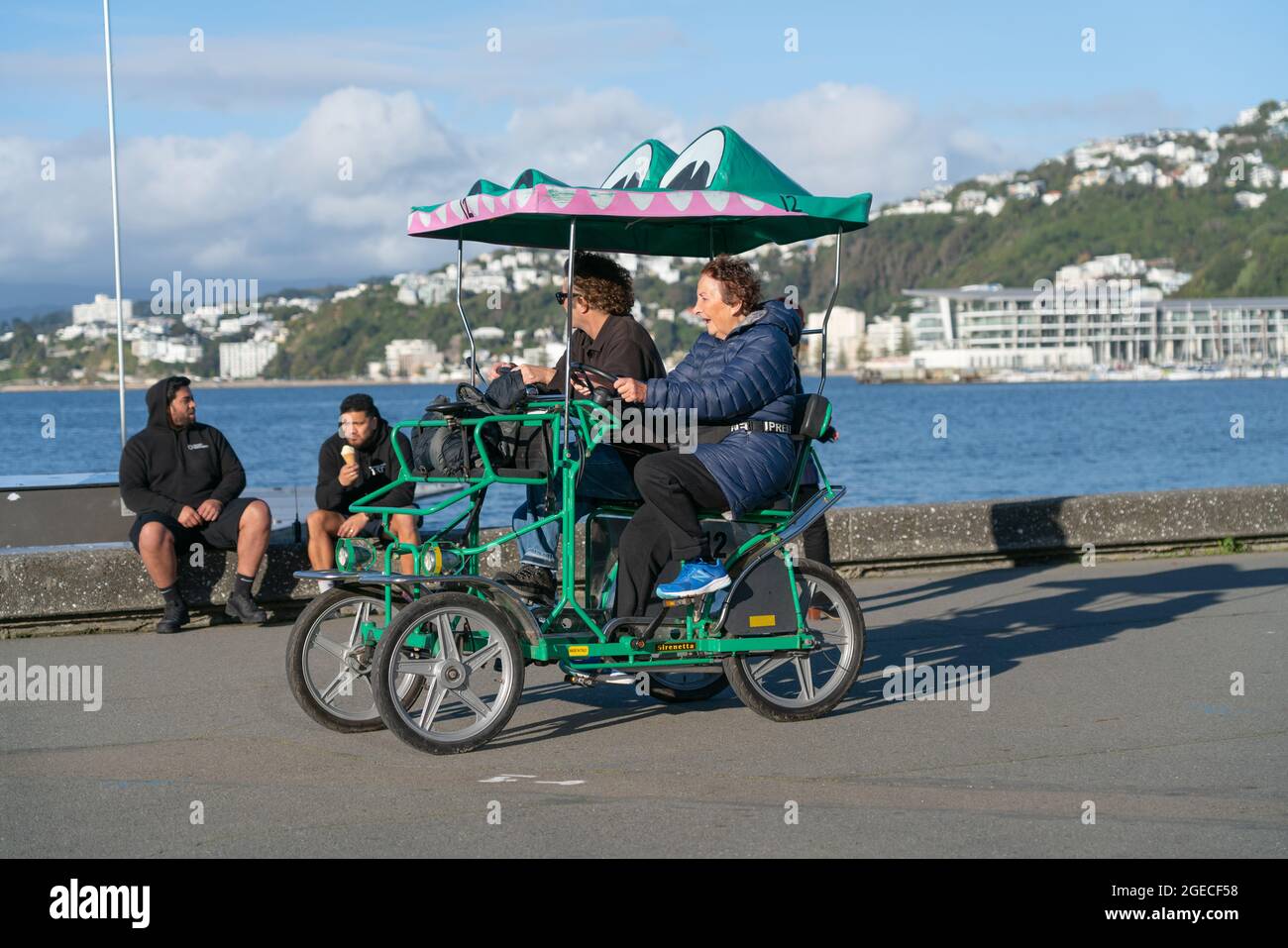 Pedicycle hi-res stock photography and images - Alamy