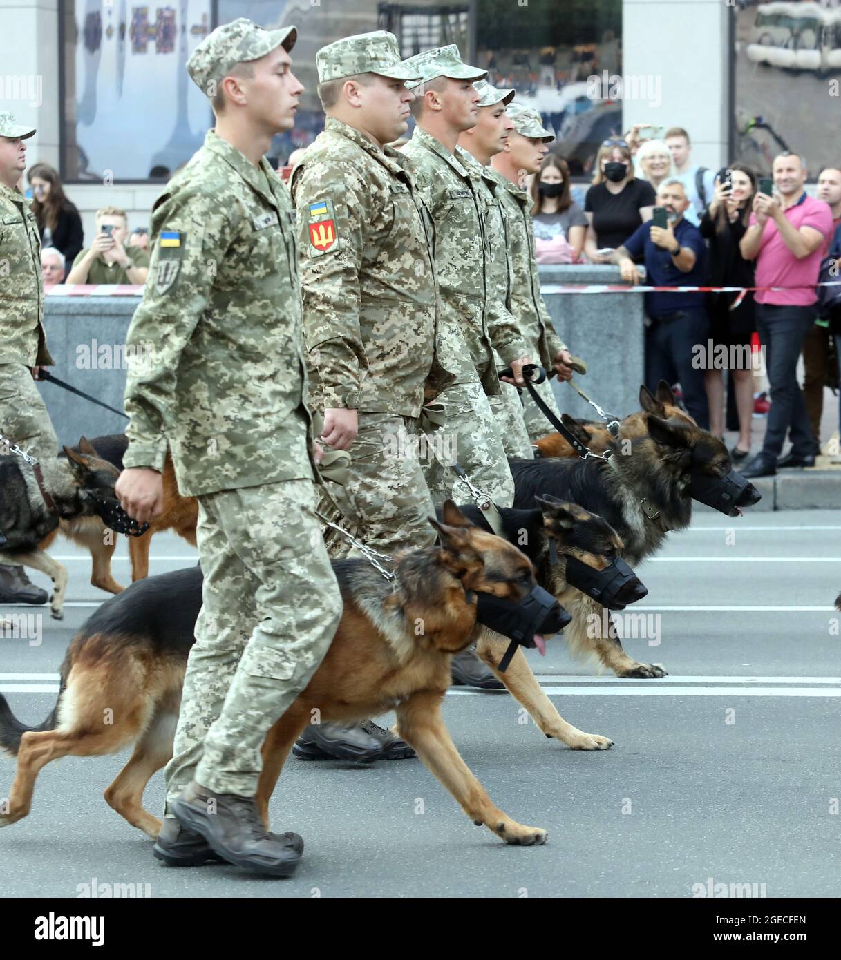Servicemen military dogs march hi-res stock photography and images - Alamy