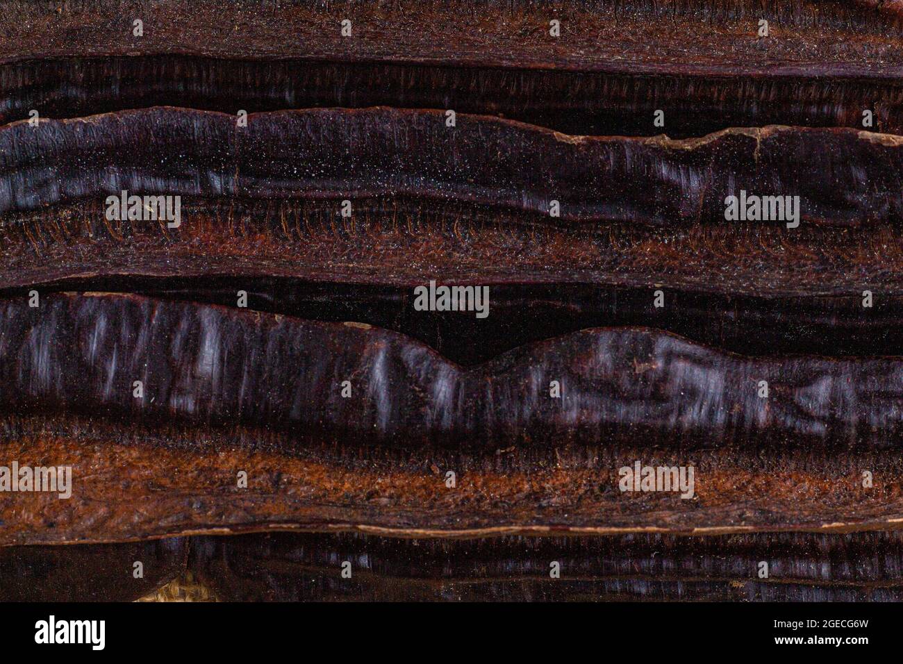 Aidan fruit, also known as prekese and tetrapleura Stock Photo - Alamy