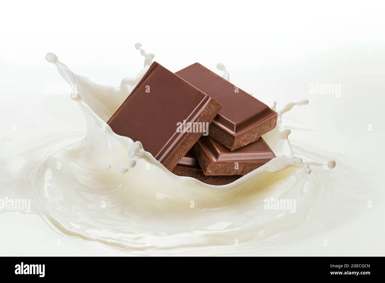 Pieces of chocolate falling into splashing milk on white background ...