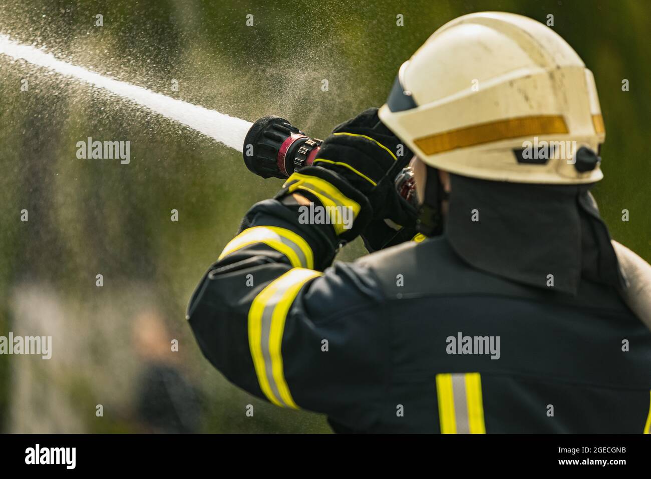 One young male firefighter on duty dressed in uniform with water hose ...