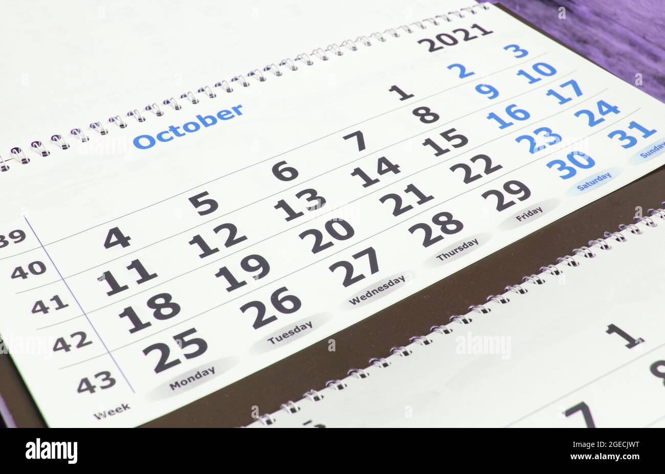 Planning a business calendar for October 2021 paper wall business ...