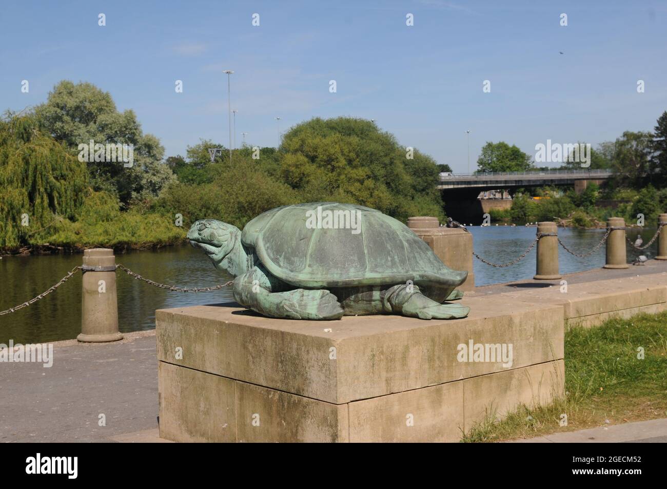 The bronze turtle statue, Derby river gardens. with the river Derwent ...