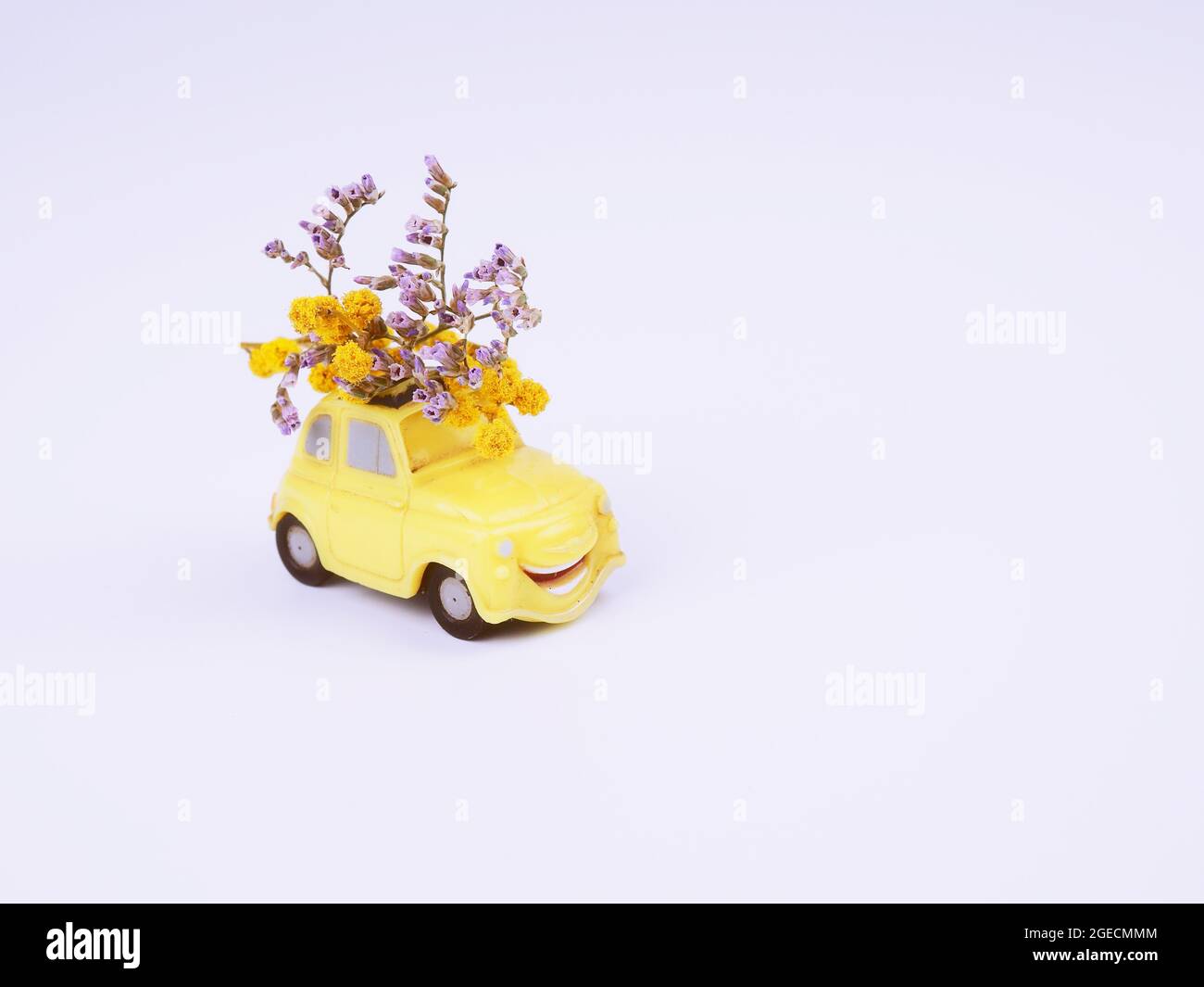 Small yellow toy car with a bouquet of wild flowers on a white ...