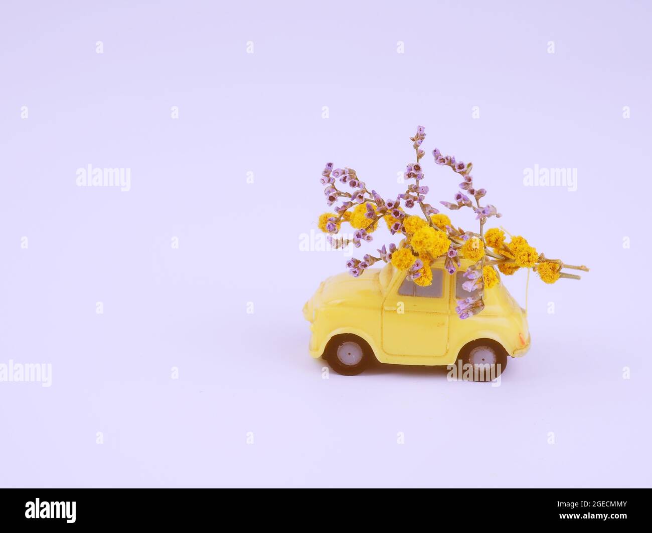 Small yellow toy car with a bouquet of wild flowers on a white ...