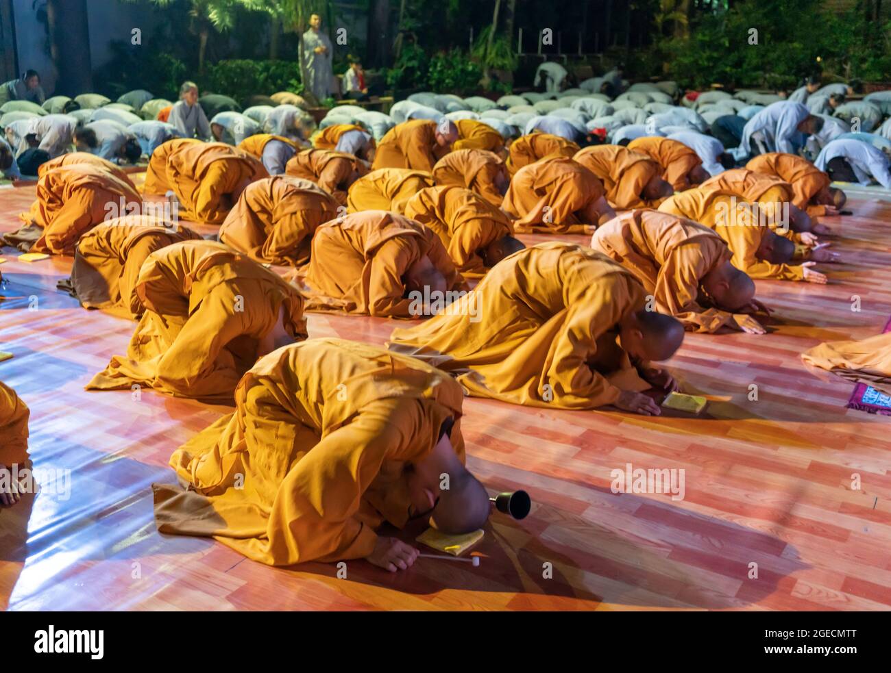 Monks are reverently bowing to Buddha during evening ceremony for ...