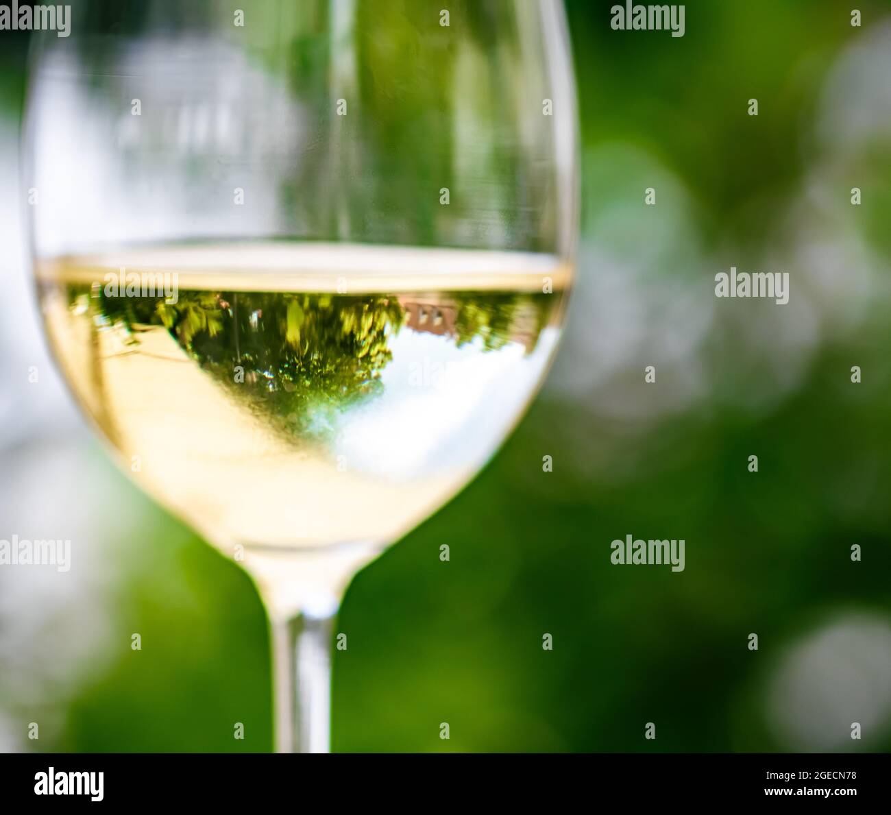 White wine in luxury restaurant on summer garden terrace, wine tasting ...