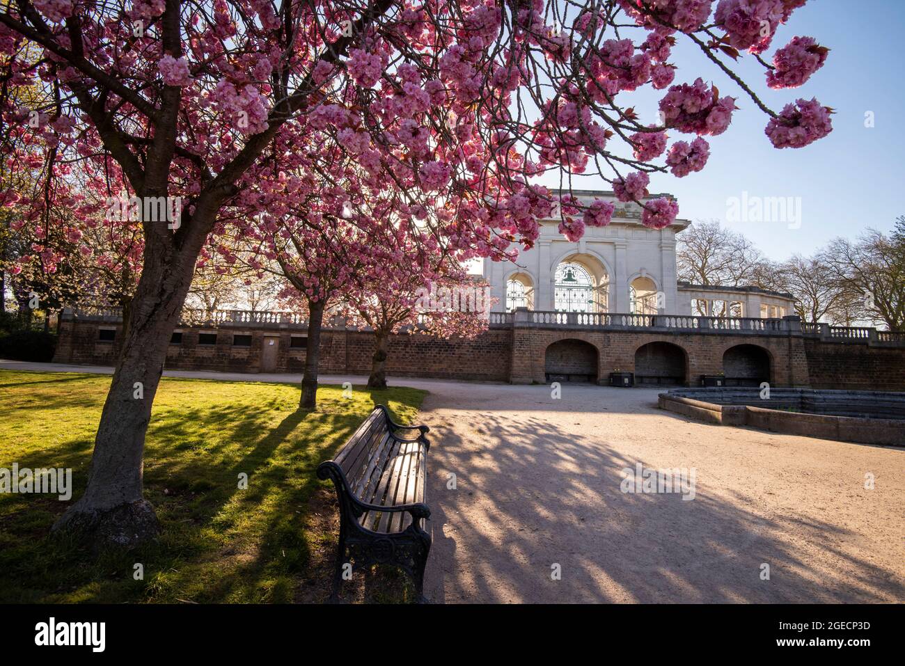 Spring Blossom at Victoria Embankment, Nottingham Nottinghamshire ...