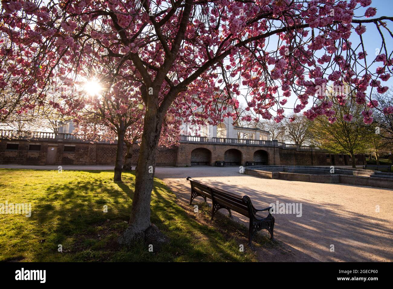 Spring Blossom at Victoria Embankment, Nottingham Nottinghamshire ...