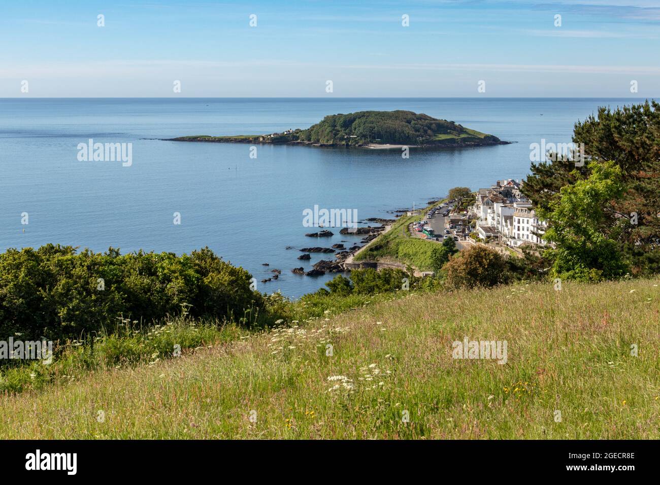 Spring meadow looking out towards Looe and Looe Island Stock Photo - Alamy