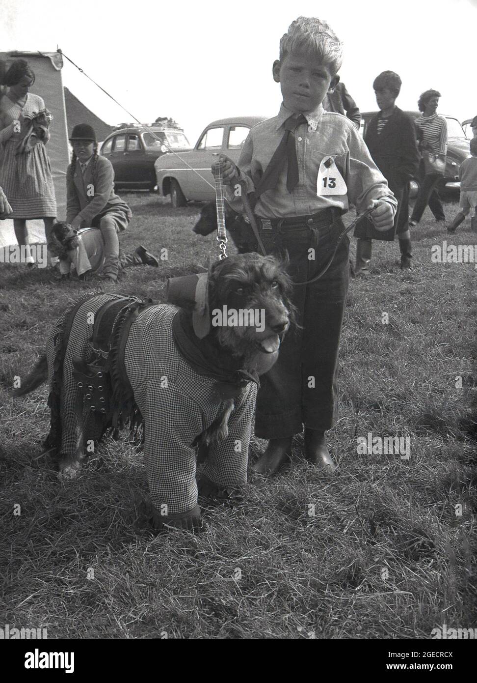 1950s, historical, a dog show with a difference, outside at a rural ...