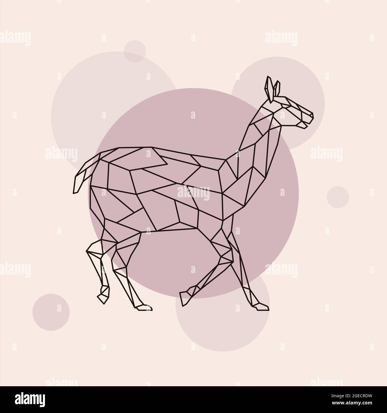 Lama side view. Geometric style. Vector illustration Stock Vector Image ...