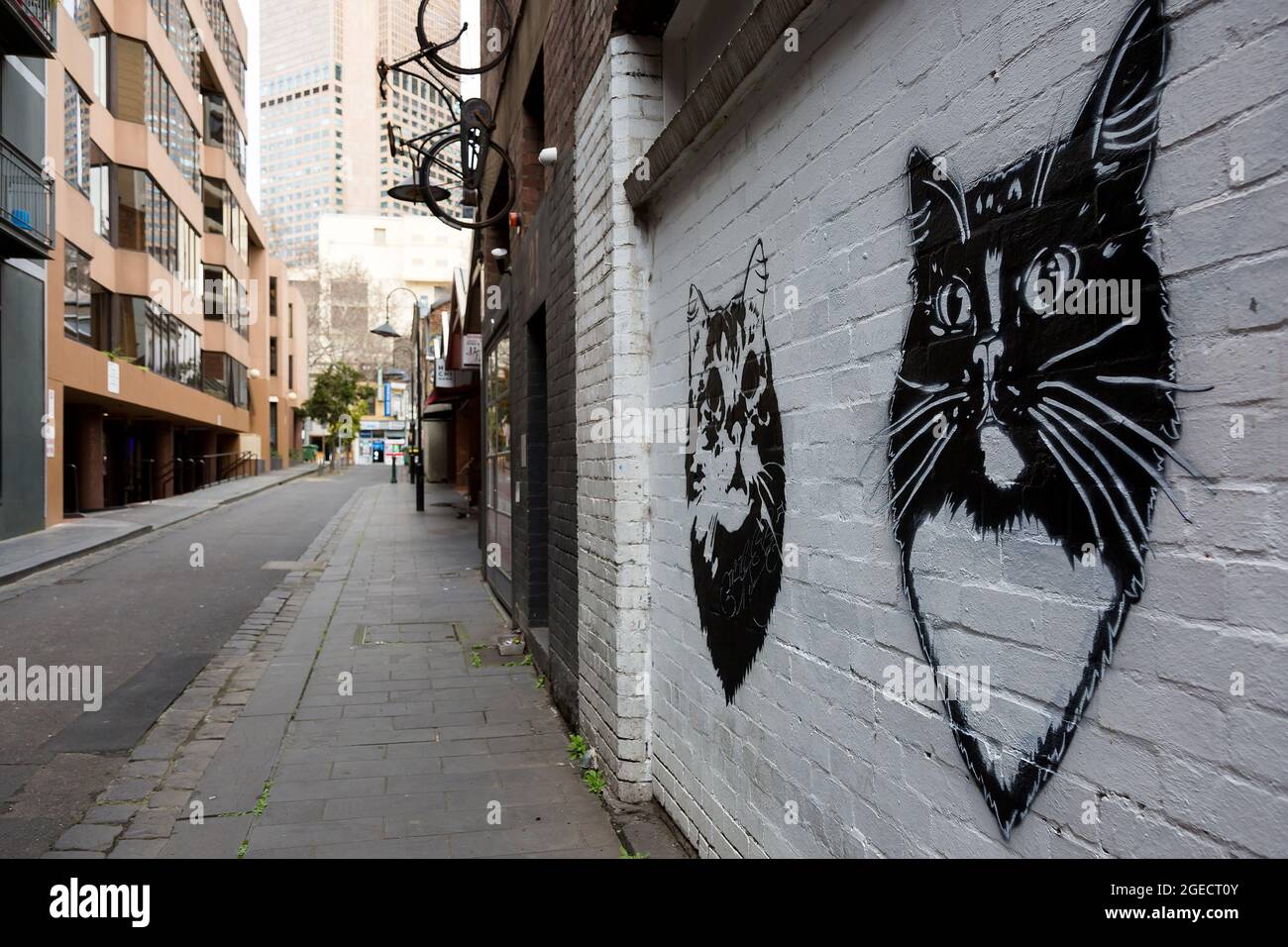 Melbourne, Australia, 25 August, 2020. One of Melbourne's many murals ...