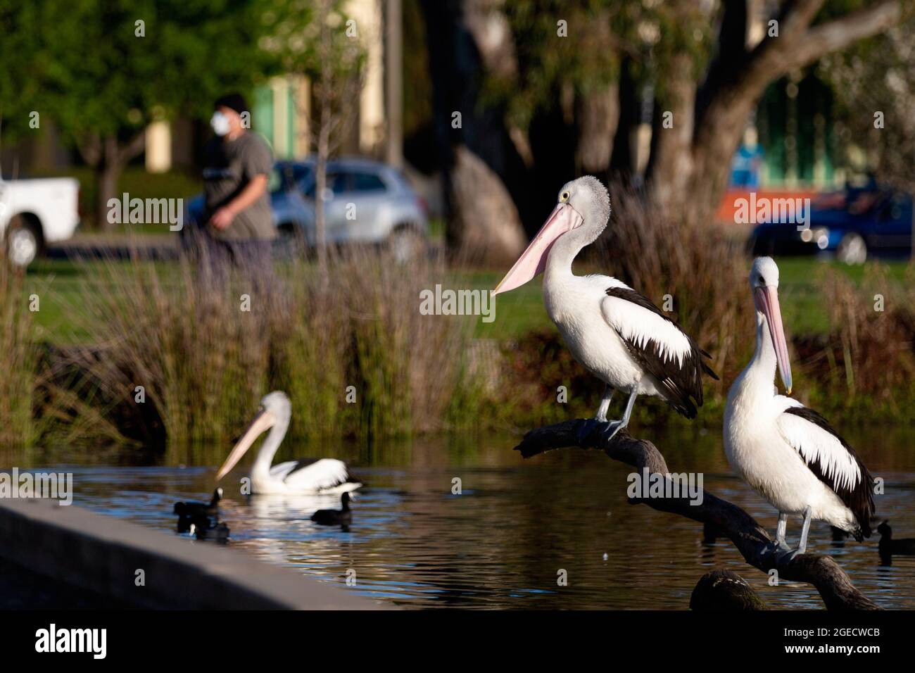 Shepparton map hi-res stock photography and images - Alamy