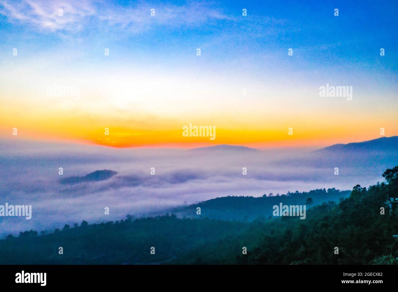 Chua linh quy phap an hi-res stock photography and images - Alamy