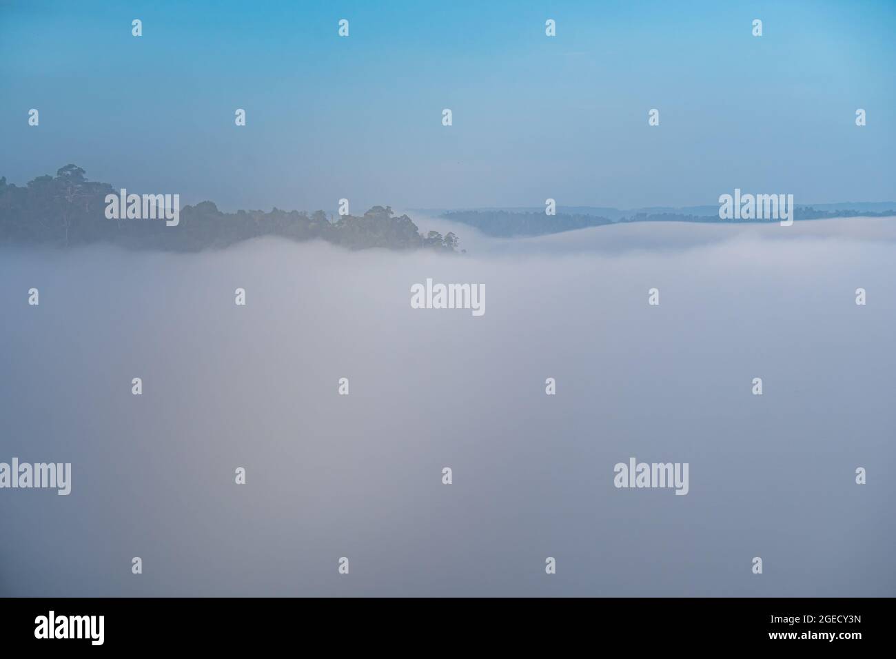 Natural phenomena. Fogbow or White rainbow occurs above the mist Stock ...