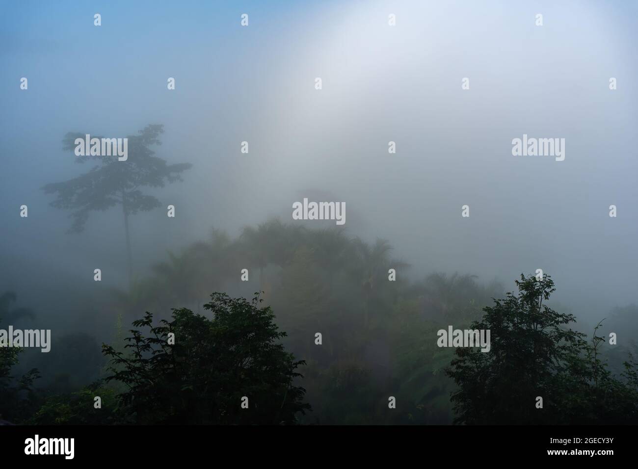 Natural phenomena. Fogbow or White rainbow occurs above the mist Stock ...