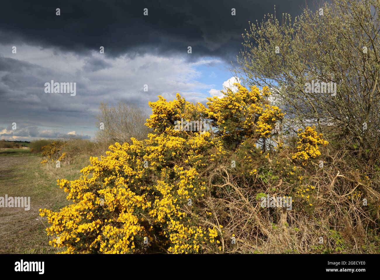 Windy day on an autumn season hi-res stock photography and images - Alamy