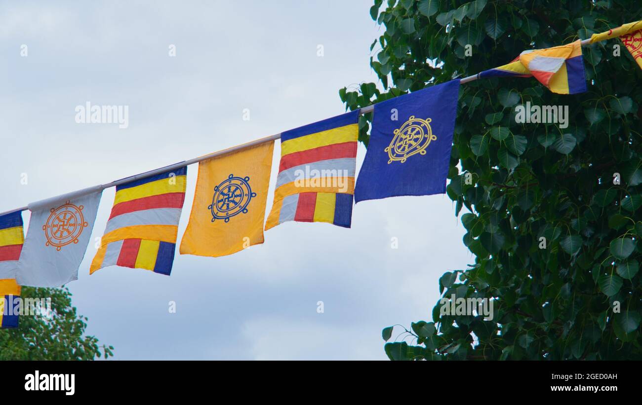 Low angle shot of Buddhist and Dharmachakra flags hanging under a blue ...