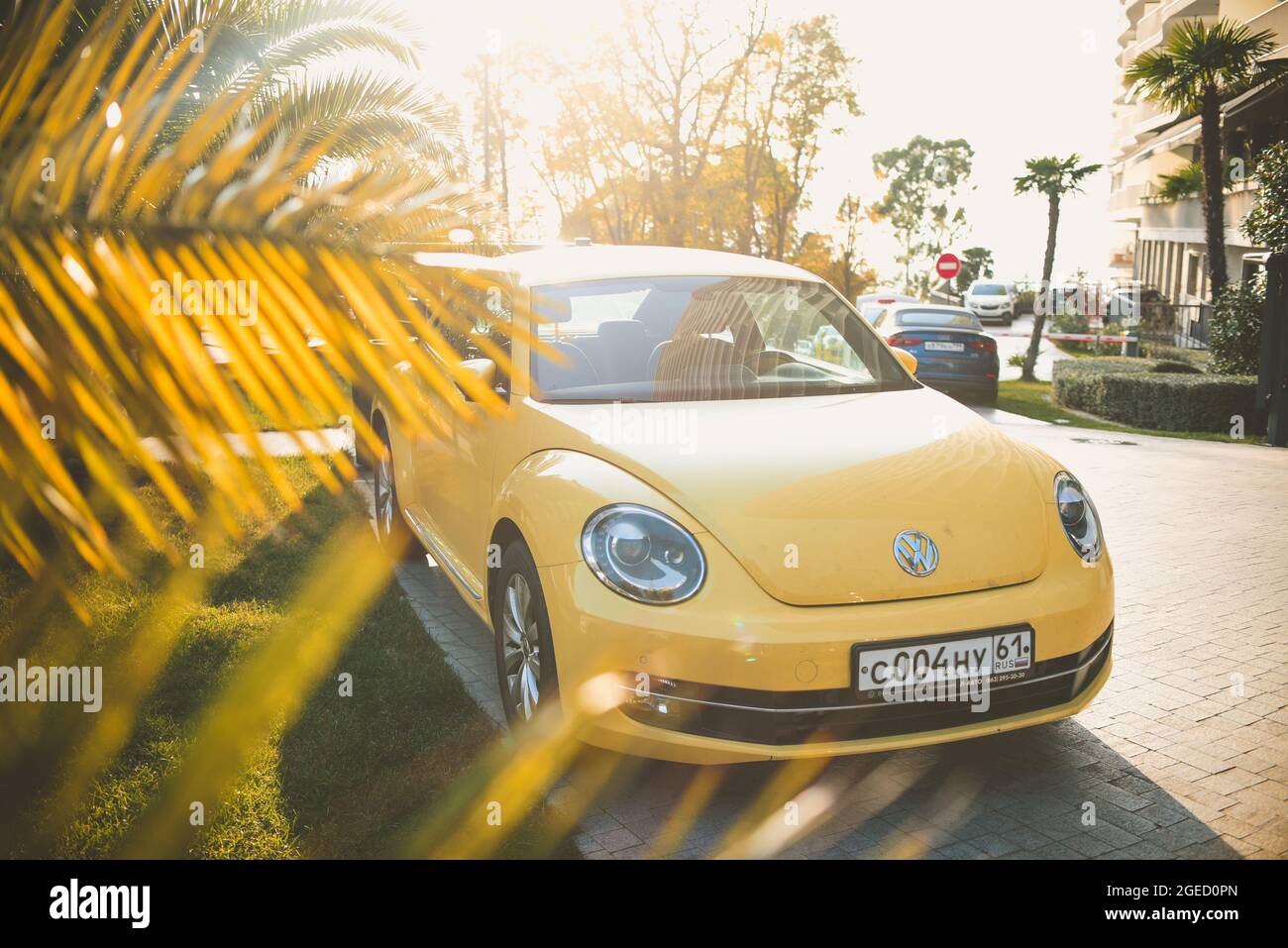 Vw palm tree hi-res stock photography and images - Alamy