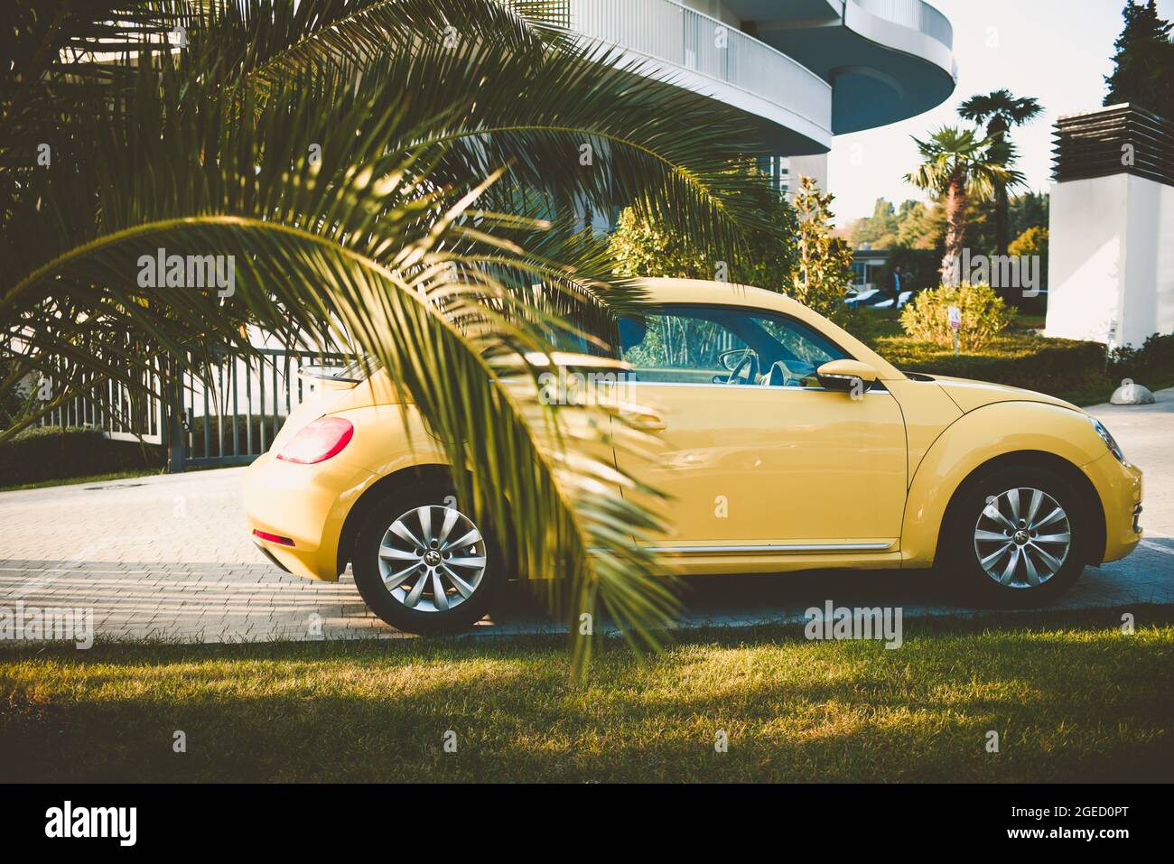 Vw palm tree hi-res stock photography and images - Alamy