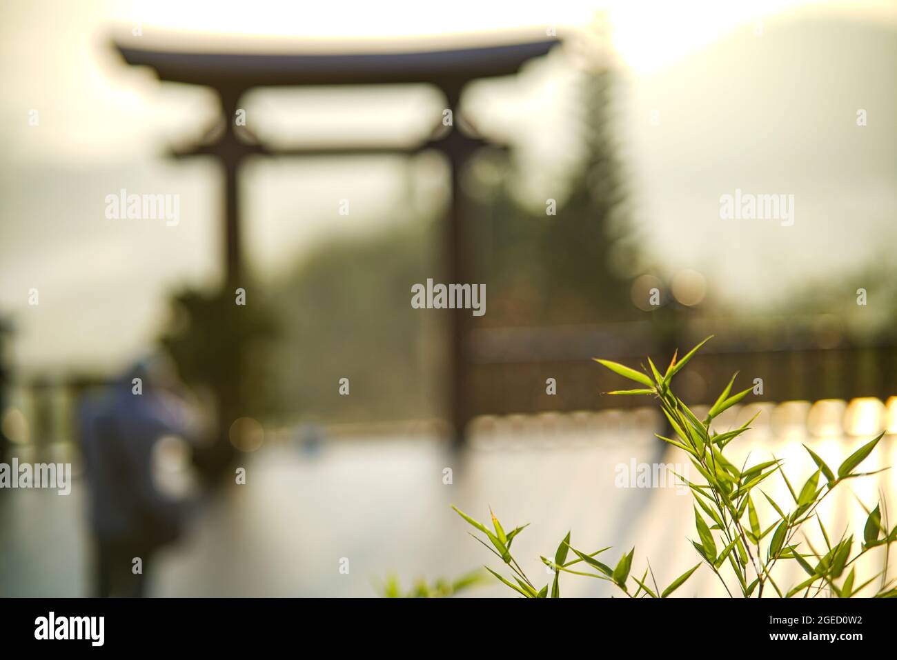 Nice Linh Quy Phap An pagoda in Lam Dong province southern Vietnam ...